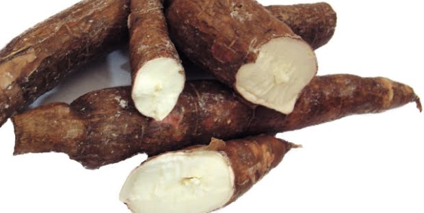 Tapioca vs. Arrowroot: wat is het verschil? - EetPaleo